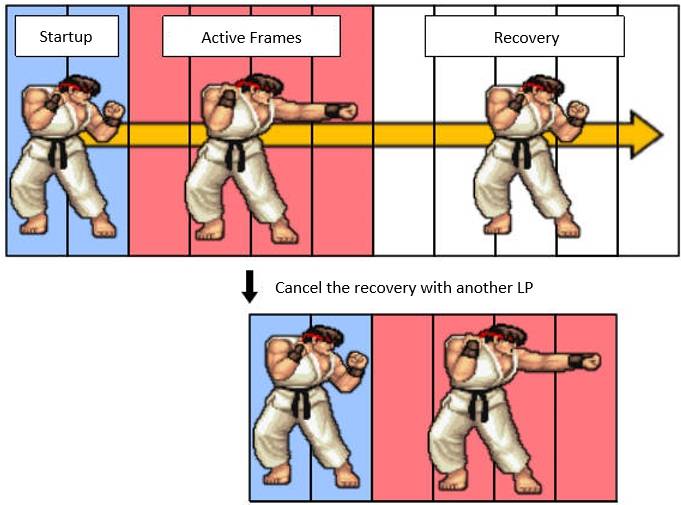 What is Animation Cancelling? – Mytrix Direct