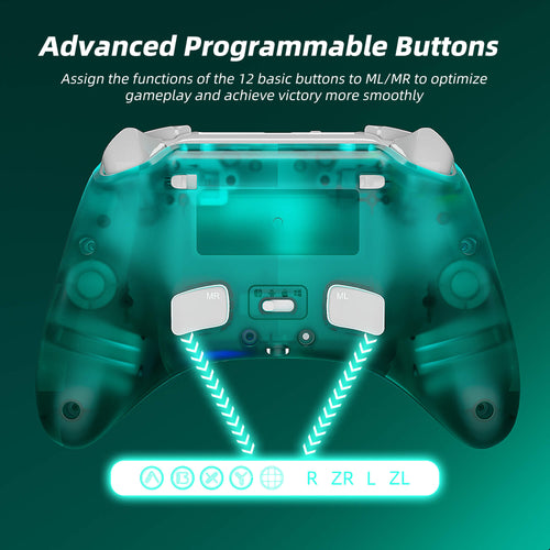 Pro Controller – Mytrix Direct