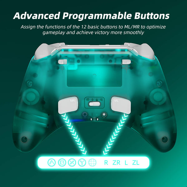 Pro Controller – Mytrix Direct