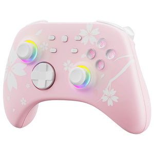 Pro Controller – Mytrix Direct